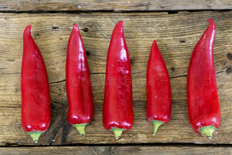 Red Sweet Pointed Peppers in a Row on Rustic Wood Stock Photo - Image ...