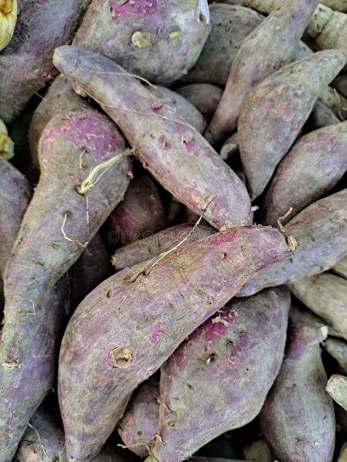 Red Sweet Potato As an Ingredient in Making Cakes Stock Image - Image ...