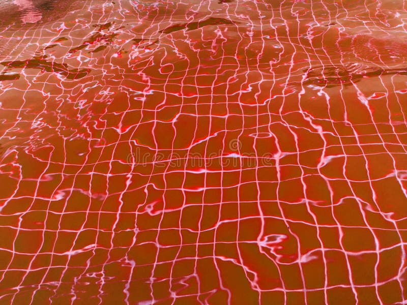 Red Swimming Pool Water with Tiles and Palm Tree Shadow Stock Photo ...