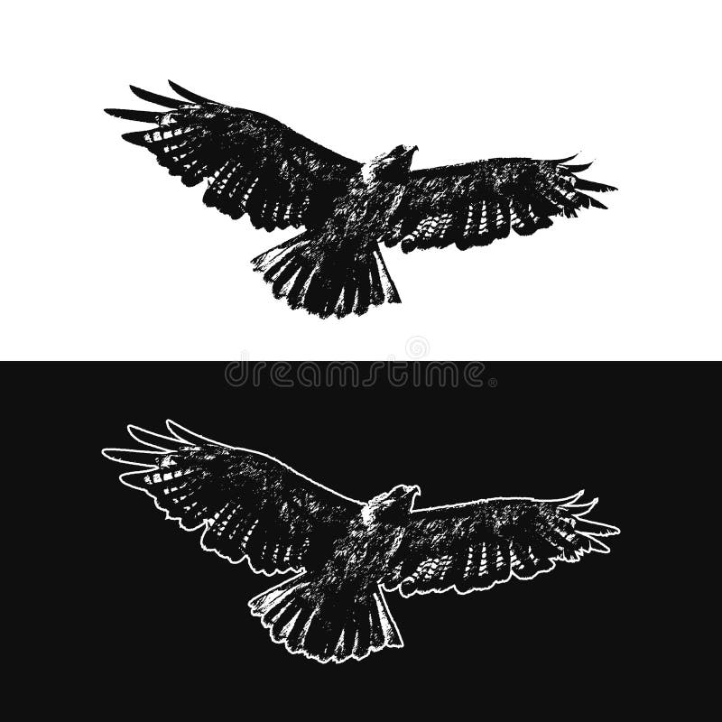 Red Tailed Hawk Hand Drawing Silhouette Stock Vector - Illustration of ...