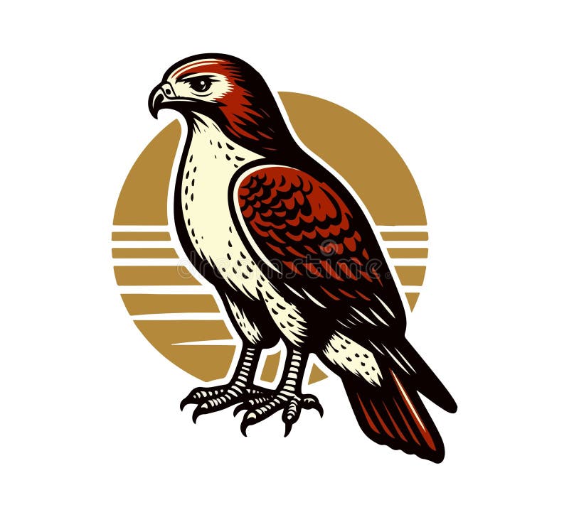 Red-tailed Hawk Hand Drawn Vector Illustration Stock Vector ...
