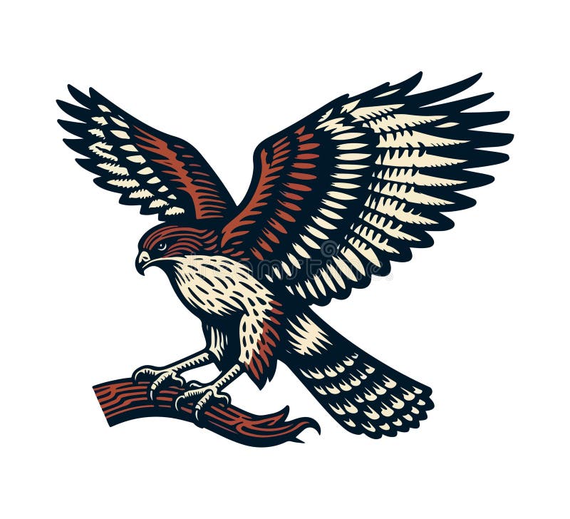 Red-tailed Hawk Hand Drawn Vector Illustration Stock Illustration ...