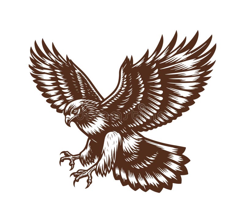 Red-tailed Hawk Hand Drawn Vector Illustration Stock Illustration ...