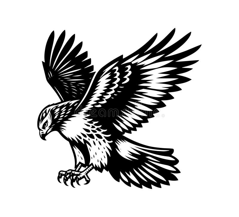 Red-tailed Hawk Hand Drawn Vector Illustration Stock Vector ...