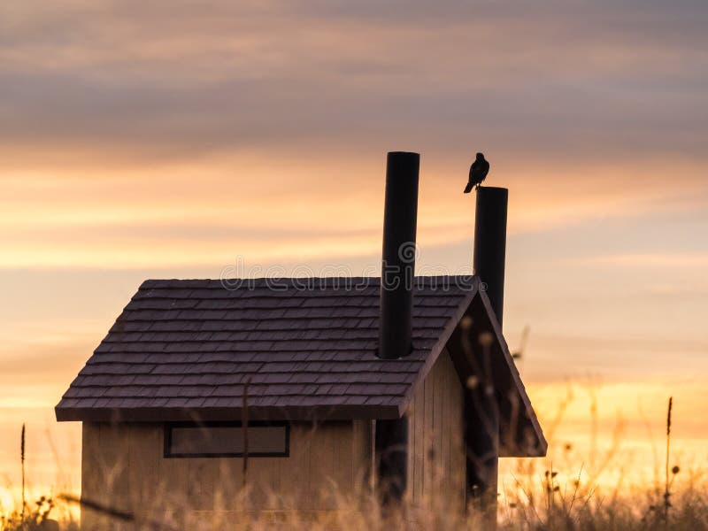 Silhouette of Hawk at Sunset Stock Photo - Image of perched, hawk ...