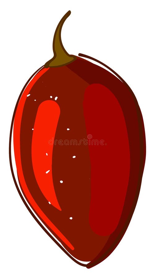 Tamarillo Illustration Stock Illustrations – 764 Tamarillo Illustration ...