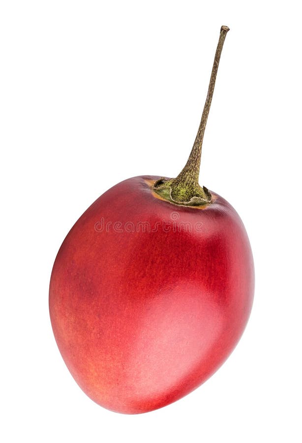 Red Tamarillo Isolated With Shadow On White Background Stock Photo ...