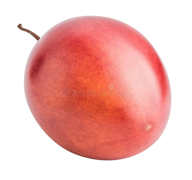 Red Tamarillo with Shadow on White Background Stock Image - Image of ...