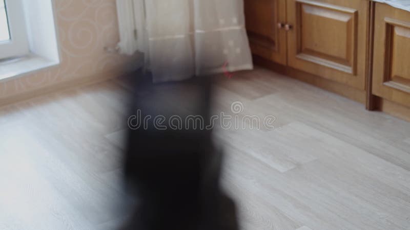 Red Telescopic Sight, Target is Moving at Home. Assault Rifle ...