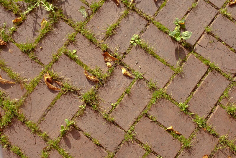 Red Terra Cotta Brick Pattern Stock Image - Image of grass, footpath ...