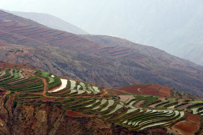 The Red Terrace of Yunnan, China Stock Image - Image of natural, region ...