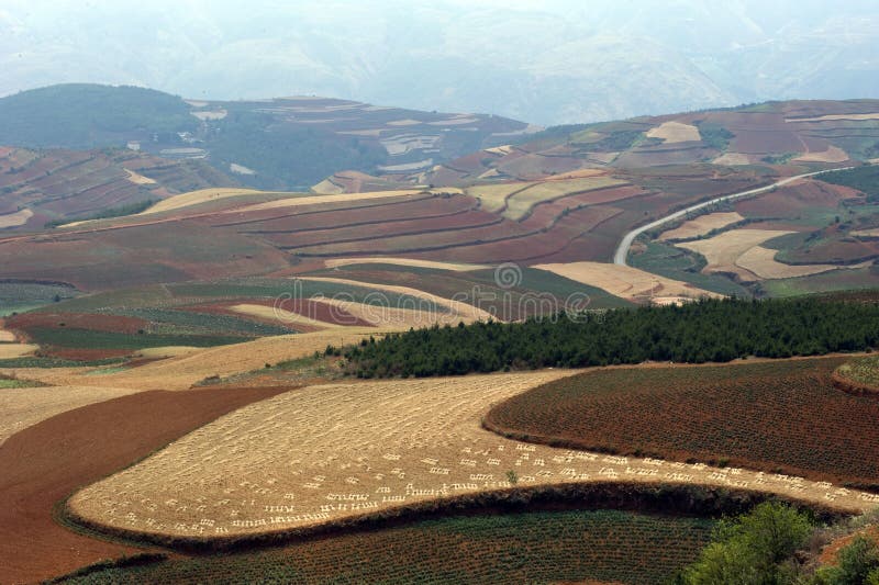 The Red Terrace of Yunnan, China Stock Image - Image of hills, home ...