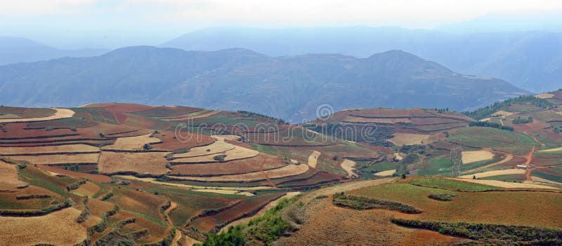 The Red Terrace of Yunnan, China Stock Photo - Image of countryside ...