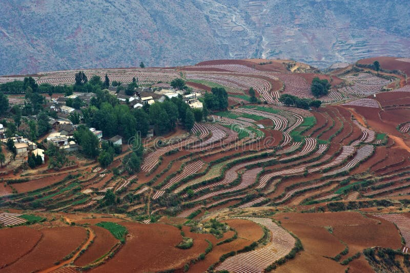 The Red Terrace of Yunnan, China Stock Photo - Image of countryside ...