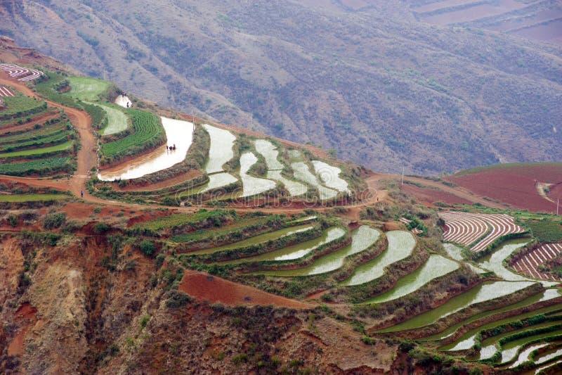 The Red Terrace of Yunnan, China Stock Photo - Image of soil, beauty ...