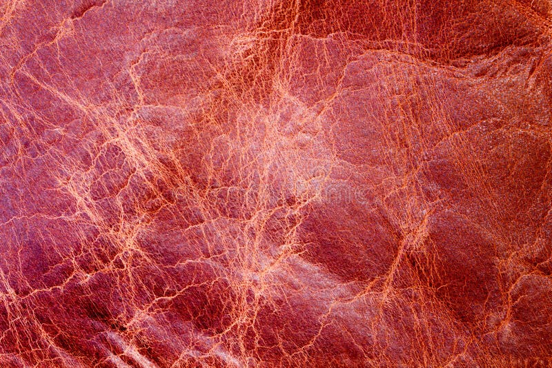 Texture of leather skin stock image. Image of background - 13019713