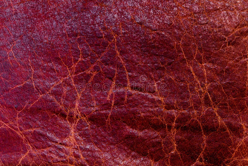Texture of leather skin stock image. Image of background - 13019713