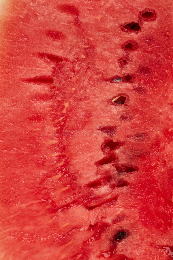 Red Texture of Sweet Watermelon Texture Background Stock Photo - Image ...