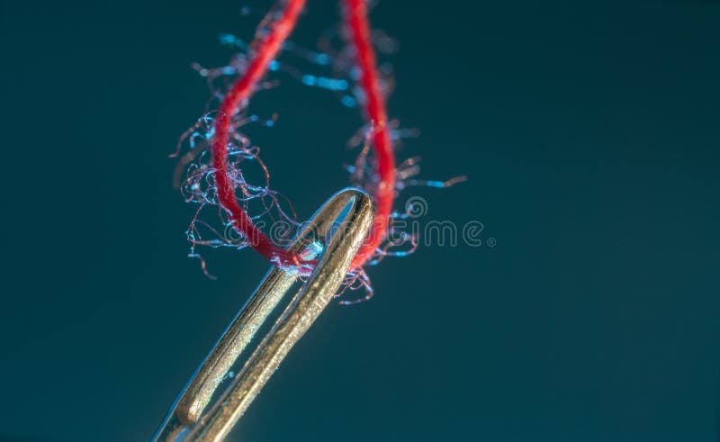 Red Thread in the Eye of a Needle Macro Stock Photo - Image of closeup ...