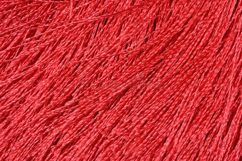 Scarlet Cord Photos - Free & Royalty-Free Stock Photos from Dreamstime