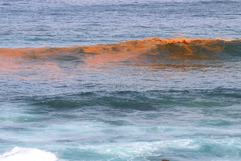 Red tide stock photo. Image of front, elizabeth, afternoon - 94923802