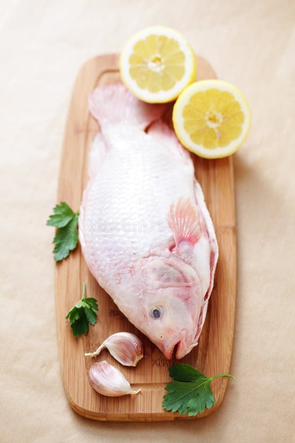 Red tilapia stock photo. Image of mouth, organic, fish - 42358024