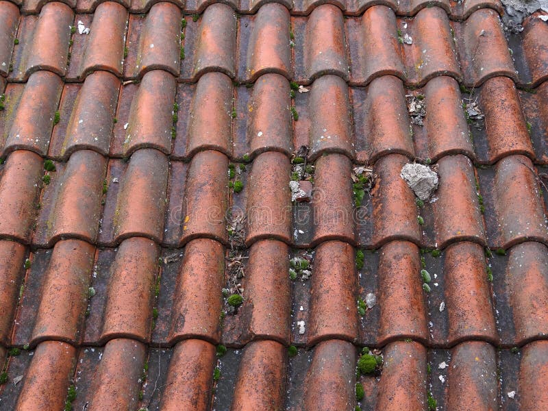 Red tile roof texture stock photo. Image of roofing - 128273000