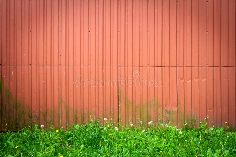 Red Tin Wall Background with Green Grass Stock Photo - Image of green ...