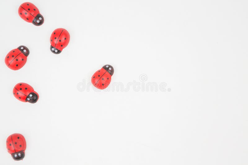 Red Tiny Bugs on White Background Stock Image - Image of office, funny ...