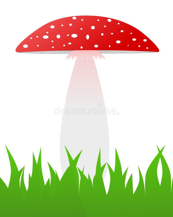 Red Toadstool Grow in Grass - Illustration Stock Illustration ...