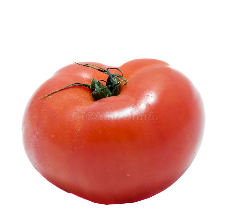 Red tomato isolated stock image. Image of color, white - 97600097