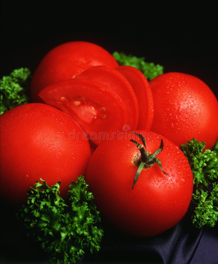 Red tomato stock image. Image of health, isolated, edible - 13305171