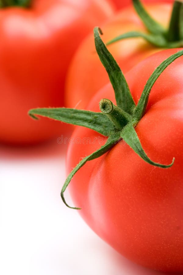 Red tomato on plant. stock photo. Image of growing, grow - 15367536