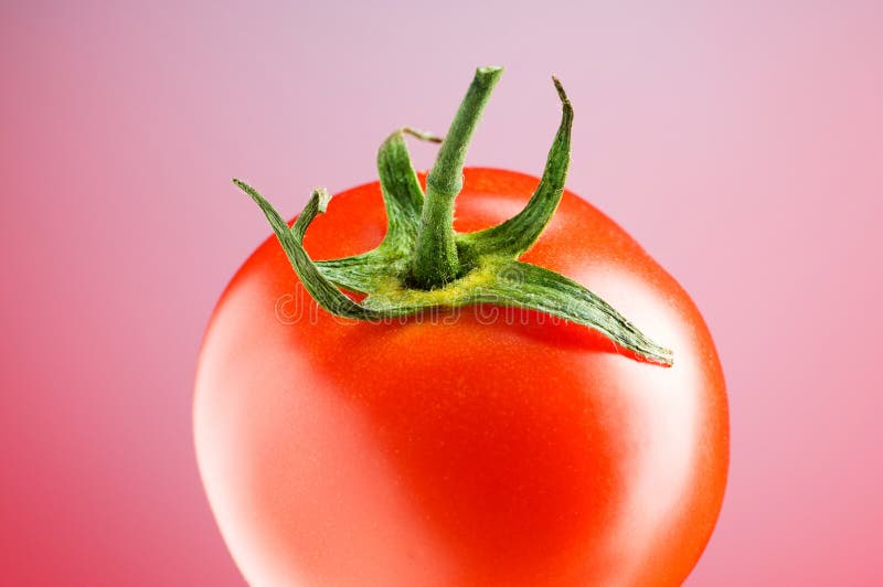 Red tomato stock image. Image of group, agriculture, refreshment - 14732095