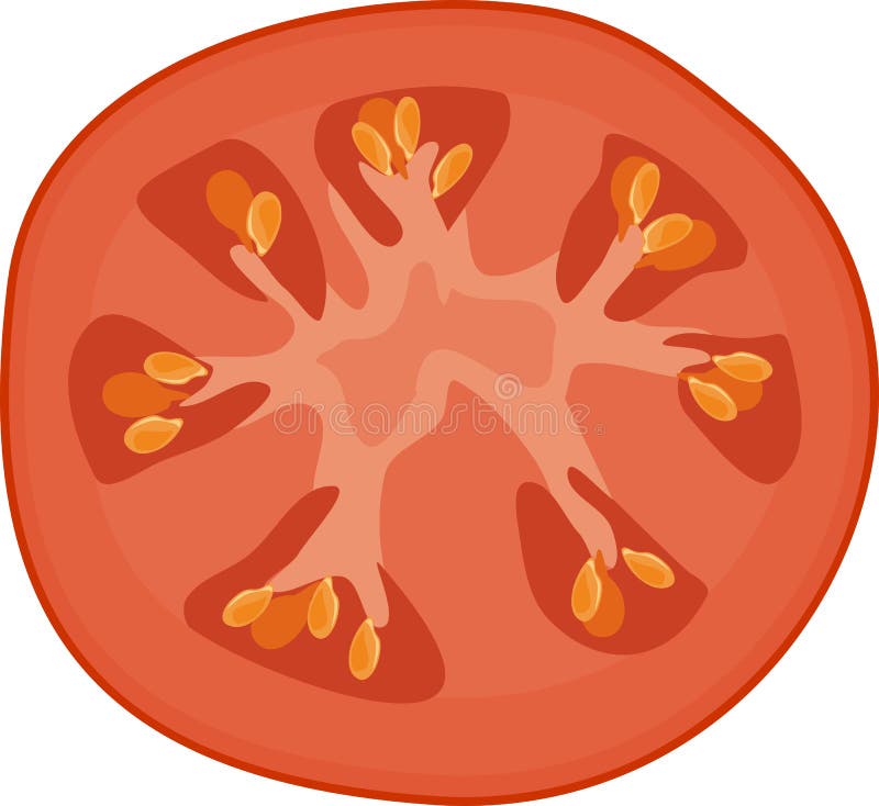 Tomato Cut Stock Illustrations – 10,107 Tomato Cut Stock Illustrations ...