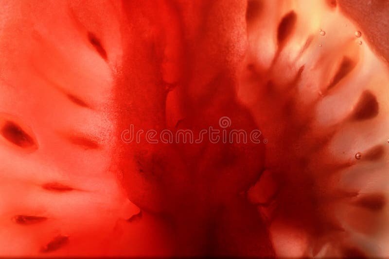 Red Tomato Cut in Half with the Texture of Seeds Stock Image - Image of ...