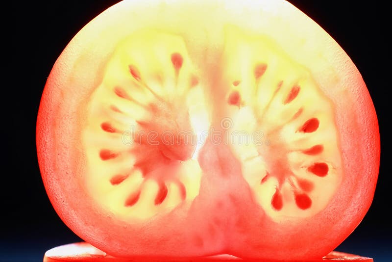 Red Tomato Cut in Half with the Texture of Seeds Stock Photo - Image of ...