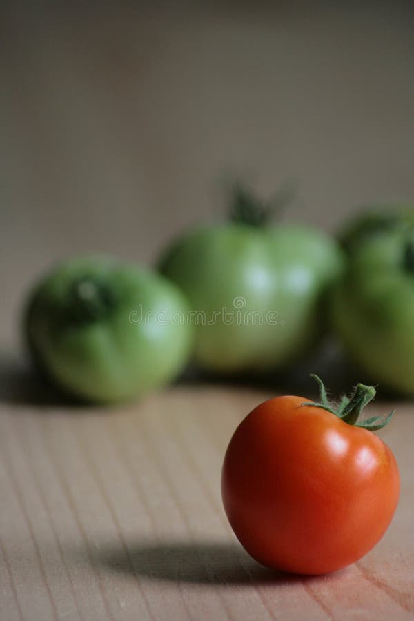 Red Tomato in Front of Group of Green Tomatoes Stock Image - Image of ...