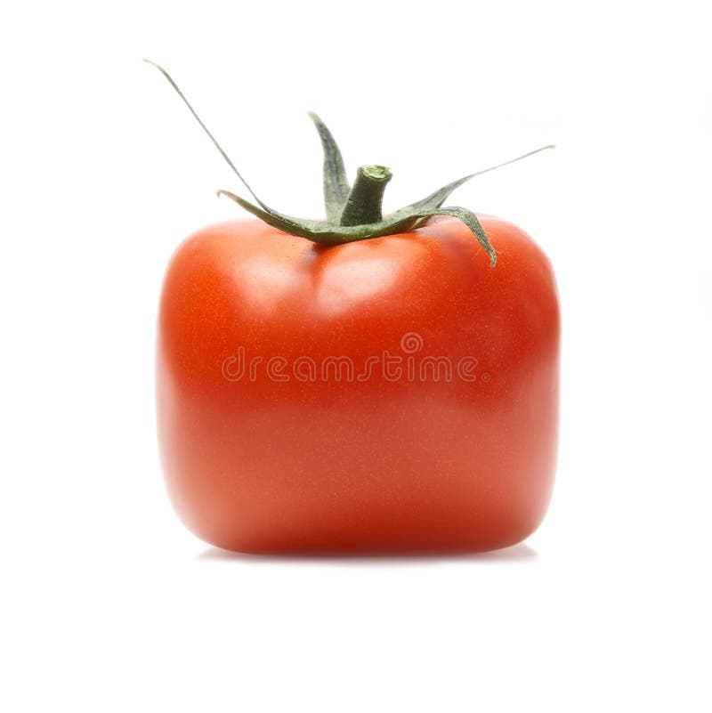 Red Tomato isolated stock image. Image of vitamin, market - 4129527