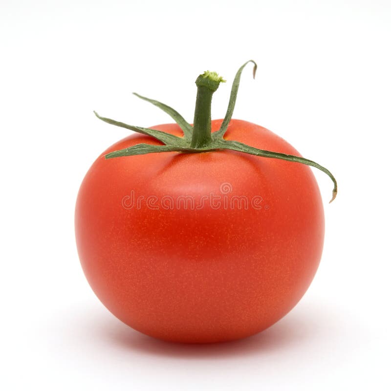 Isolated Tomato stock image. Image of tangy, vegetable - 141365