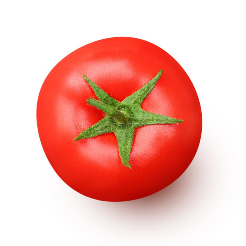 Red tomato isolated stock image. Image of color, white - 97600097