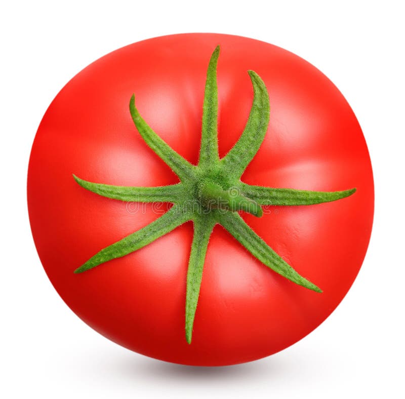 Red tomato isolated stock image. Image of color, white - 97600097