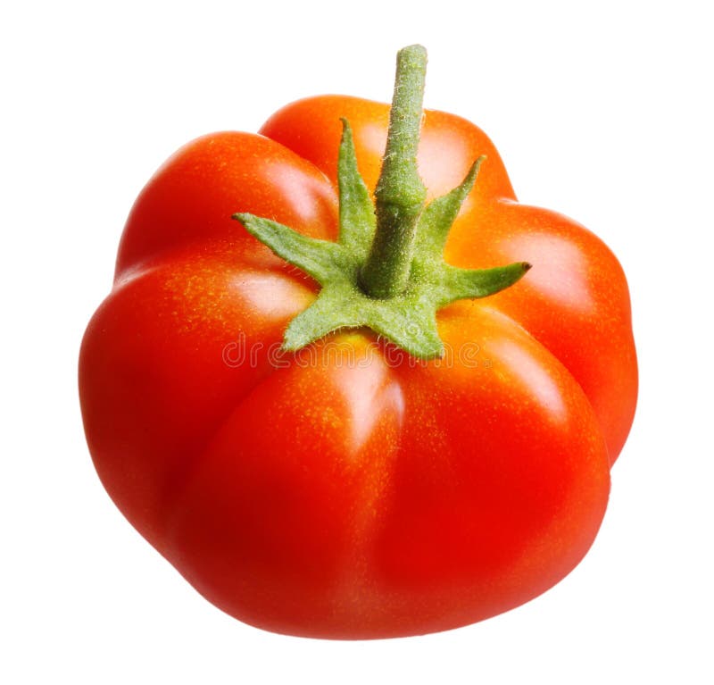 Red tomato isolated stock image. Image of color, white - 97600097