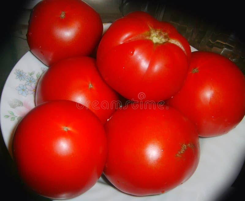 Red tomato stock image. Image of plate, veetables, salate - 84363897