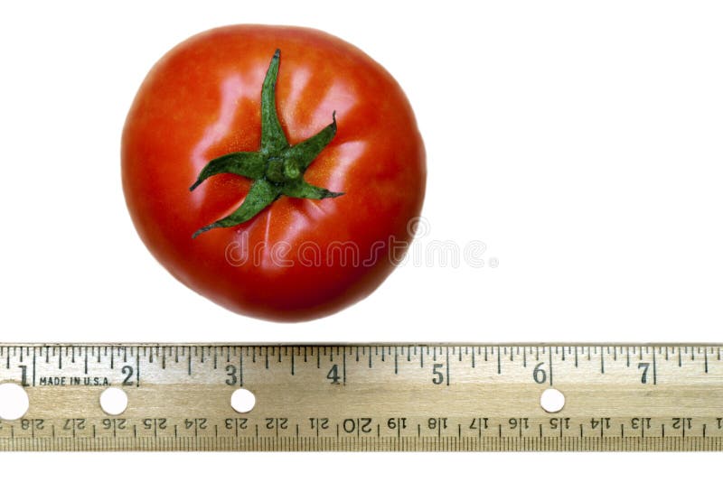 Red Tomato and Ruler on White Stock Image - Image of inch, measurement ...