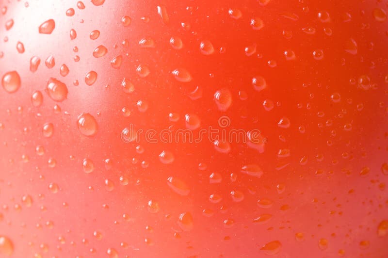 Tomato Skin Texture