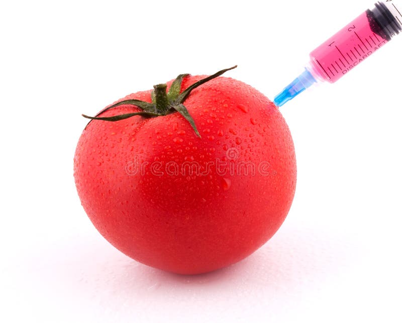 Red Tomato with Syringe Injecting Color Stock Image - Image of fresh ...