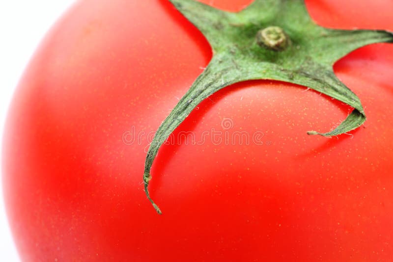 Red tomato stock photo. Image of shiny, eating, isolated - 37992672