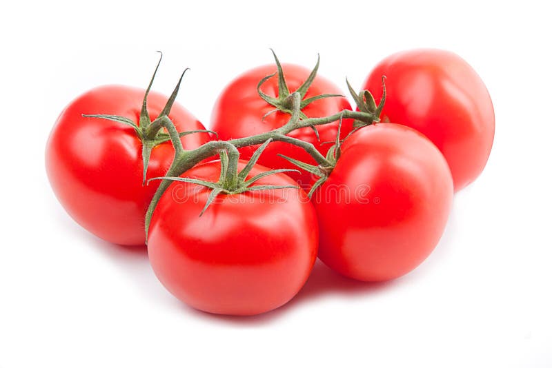 Red tomato, tomate rouge stock image. Image of nutrition - 21649491