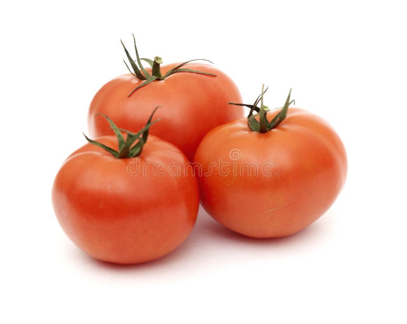 Red tomato vegetable stock image. Image of tomato, round - 24121631